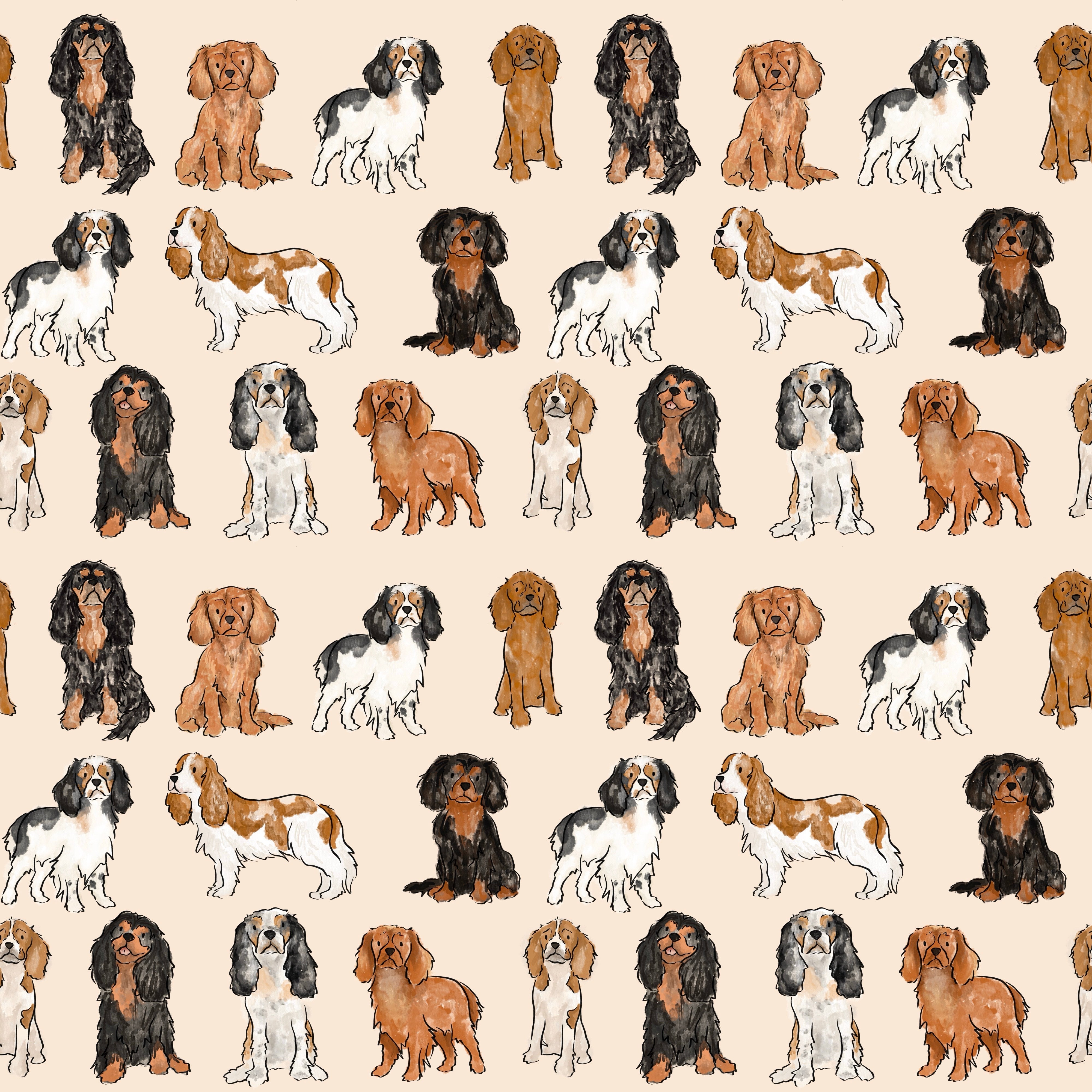 The Cavalier Collection – The Paw Print Boutique
