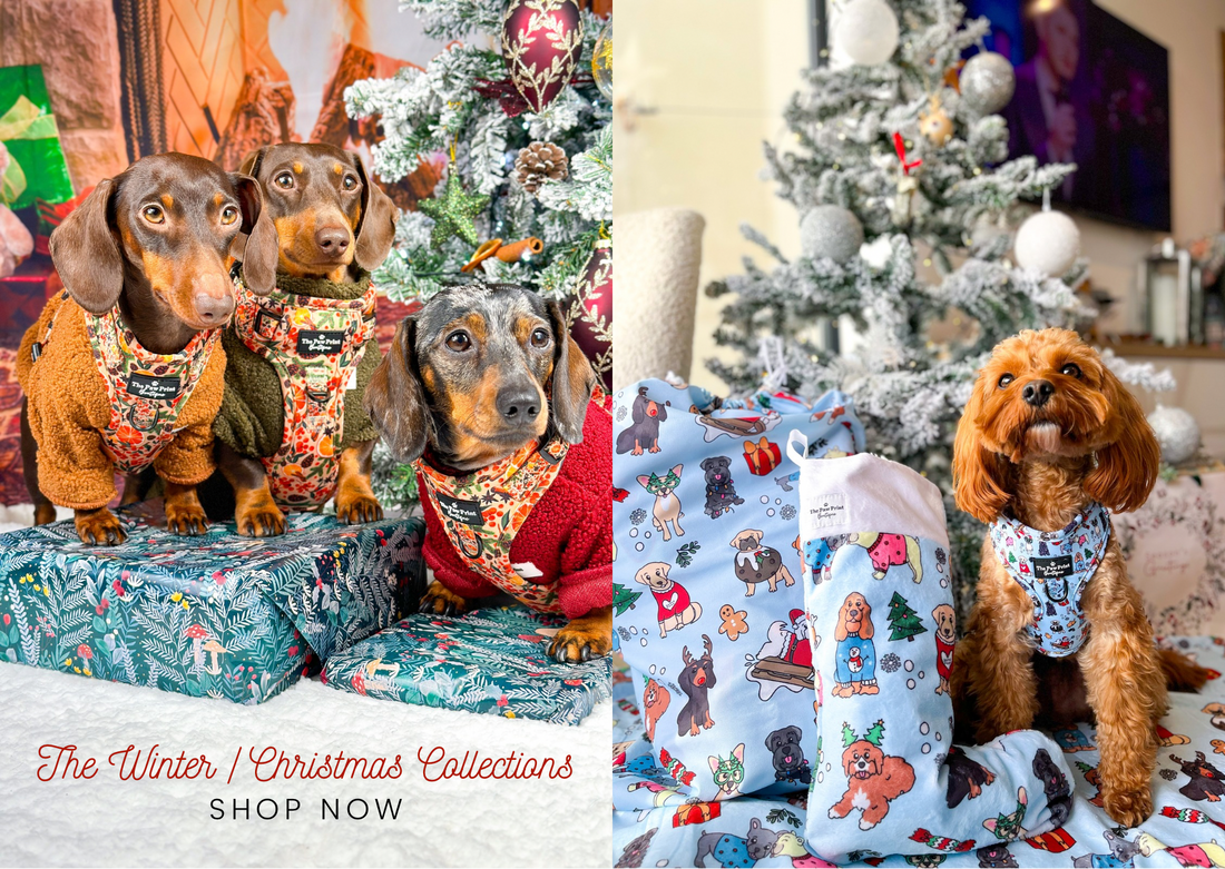 The Paw Print Boutique