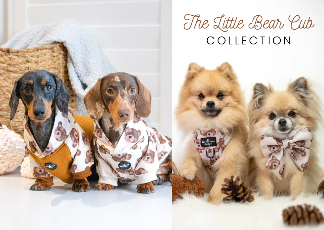 The Paw Print Boutique