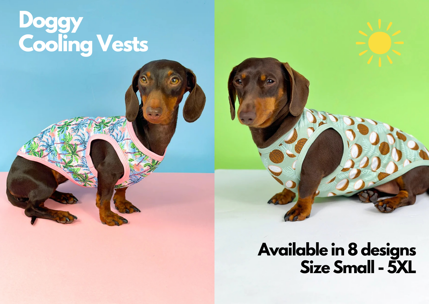 The Paw Print Boutique