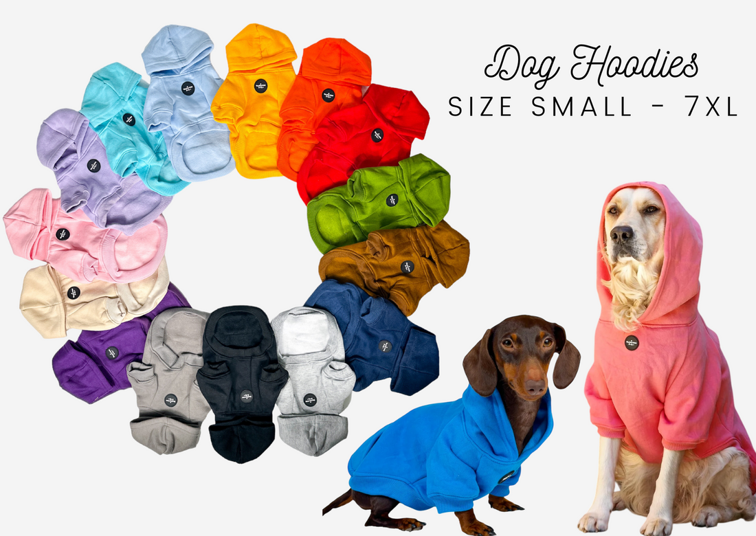 The Paw Print Boutique